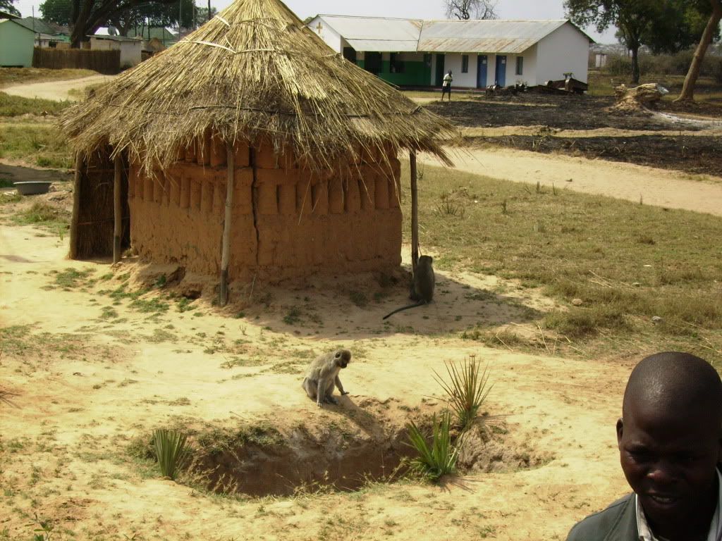 Kafue Main Town Pictures, Images & Photos | Photobucket Kafue Main Town Pictures, Images & Photos | Photobucket
